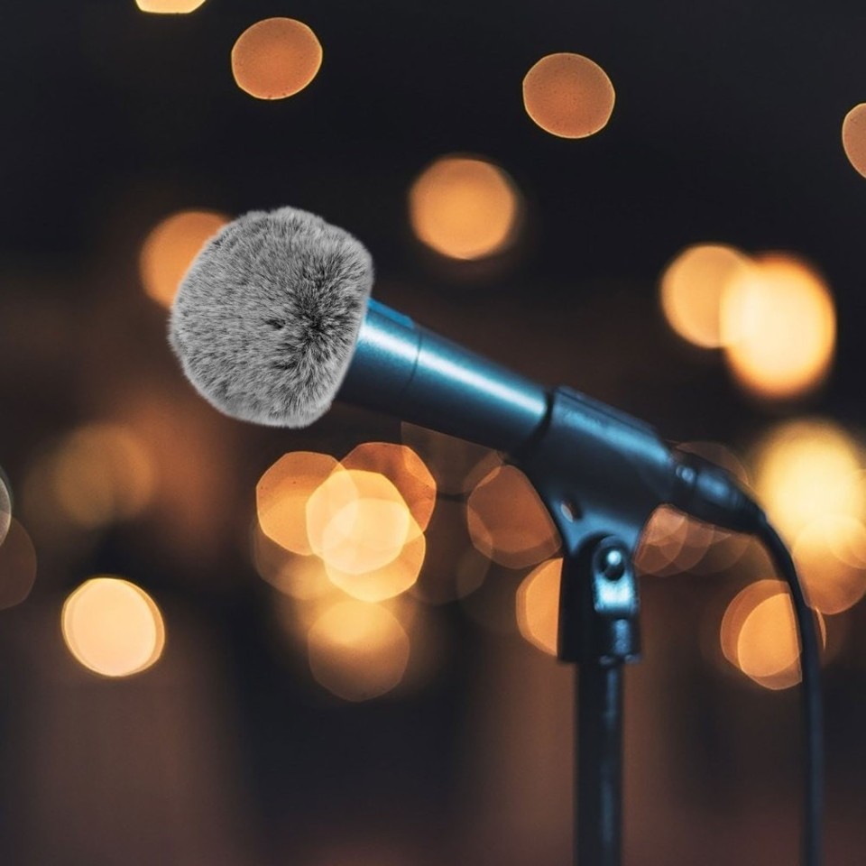 Handheld Stage Microphone Windscreen Furry Type Windscreens Windshield ...