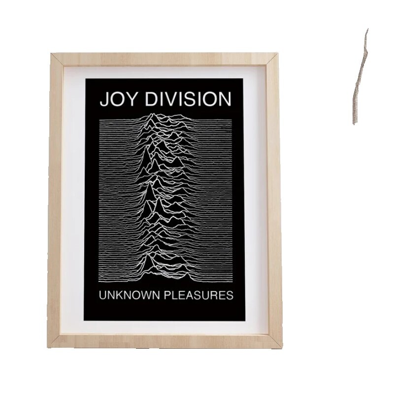 Unknown Pleasures Poster | eBay
