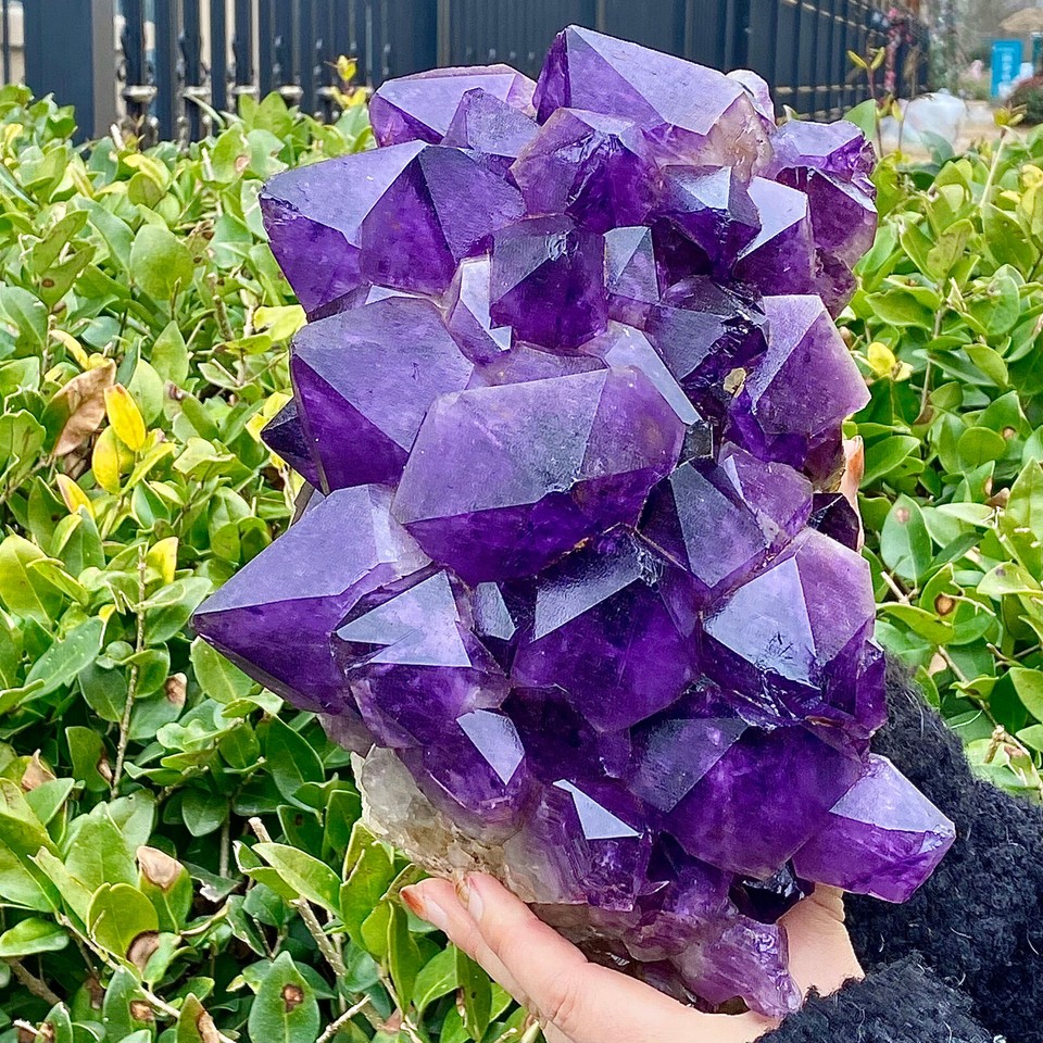 17.49LB Natural ore amethyst backbone cluster crystal tooth mineral ...