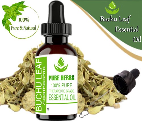Pure Herbs Buchu Leaf Pure & Natural Agathosma Essential Oil | eBay
