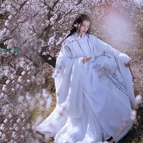 Ming System Hanfu Antiquities Chinese Style Ancient Costume Chivalrous ...