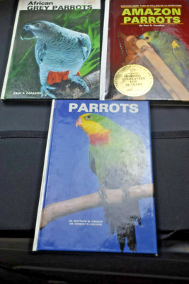 African Grey parrots Paul O Paradise, 1979also amazon parrots& Parrots ...