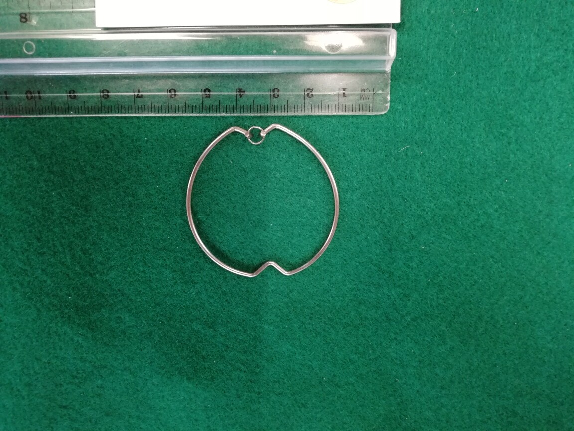 LAMP RETAINING SPRING RING CLIP LOW VOLTAGE SPOT LIGHT DOWNLIGHTER DOWN ...