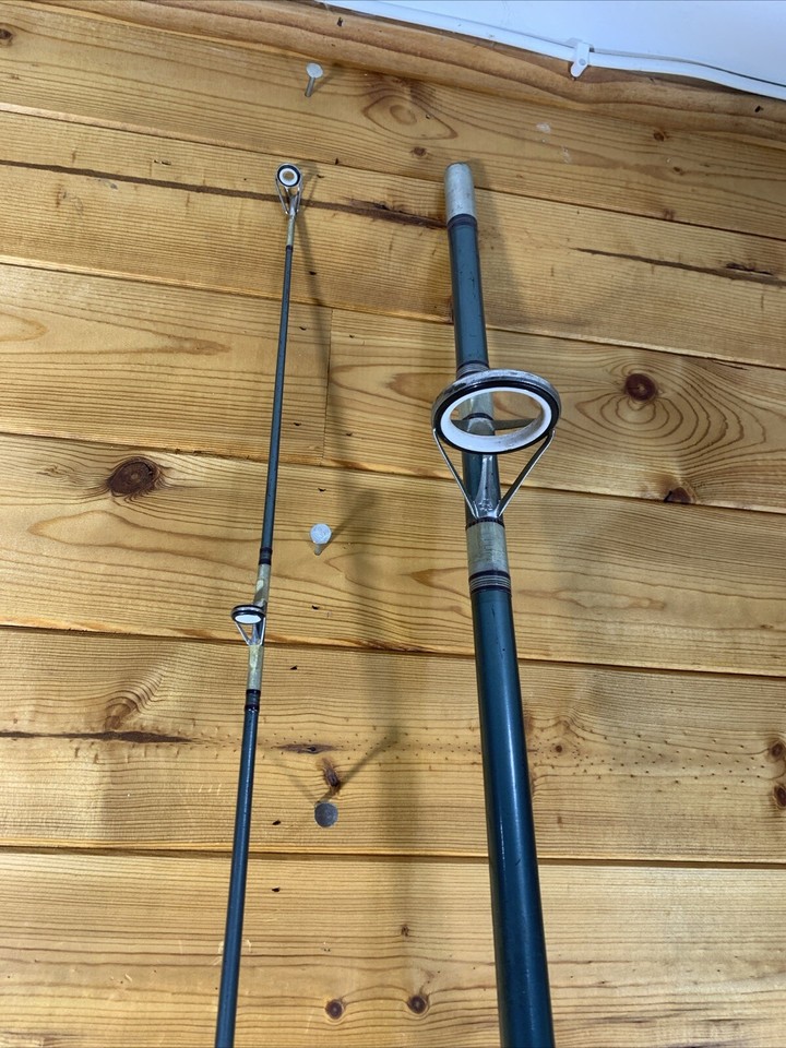 Daiwa Apollo 10’ Rod 1699CG Medium Action Two-Piece Penn Peer Reel ...