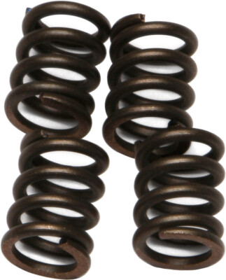 EBC CSK22 Clutch Springs CSK22 | eBay