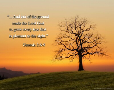 Religious Inspirational Poster Art Print Church Wall Decor Genesis 2:8 ...