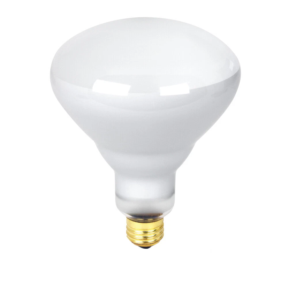 500w R40 Pool Light Bulb | Shelly Lighting