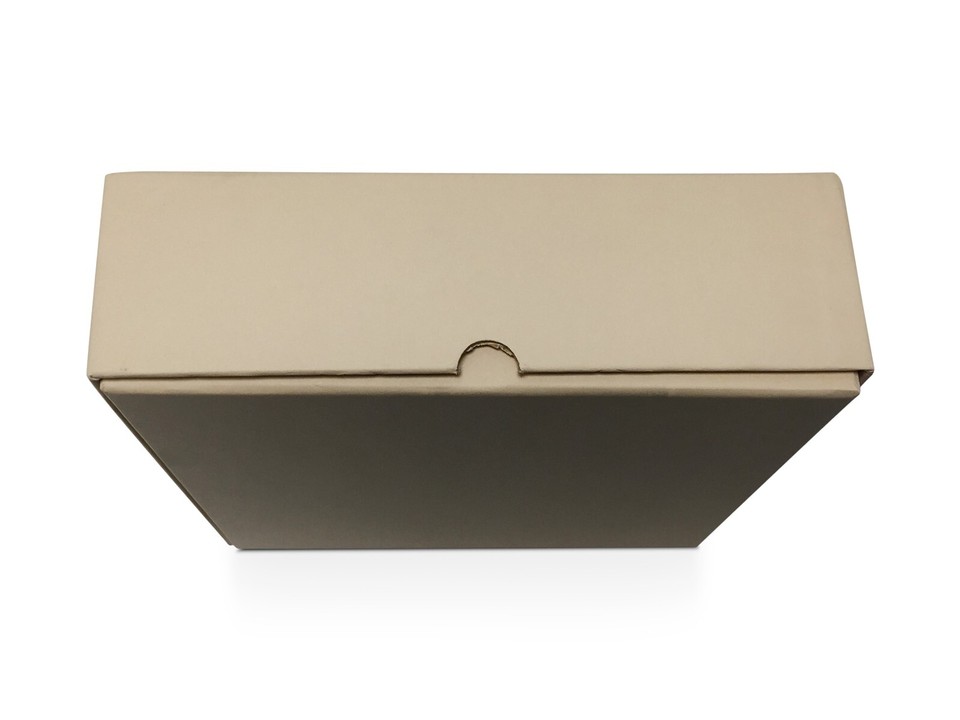 Square Large Dollar Coin Safe Tubes w Storage Box Long Term Morgan ...