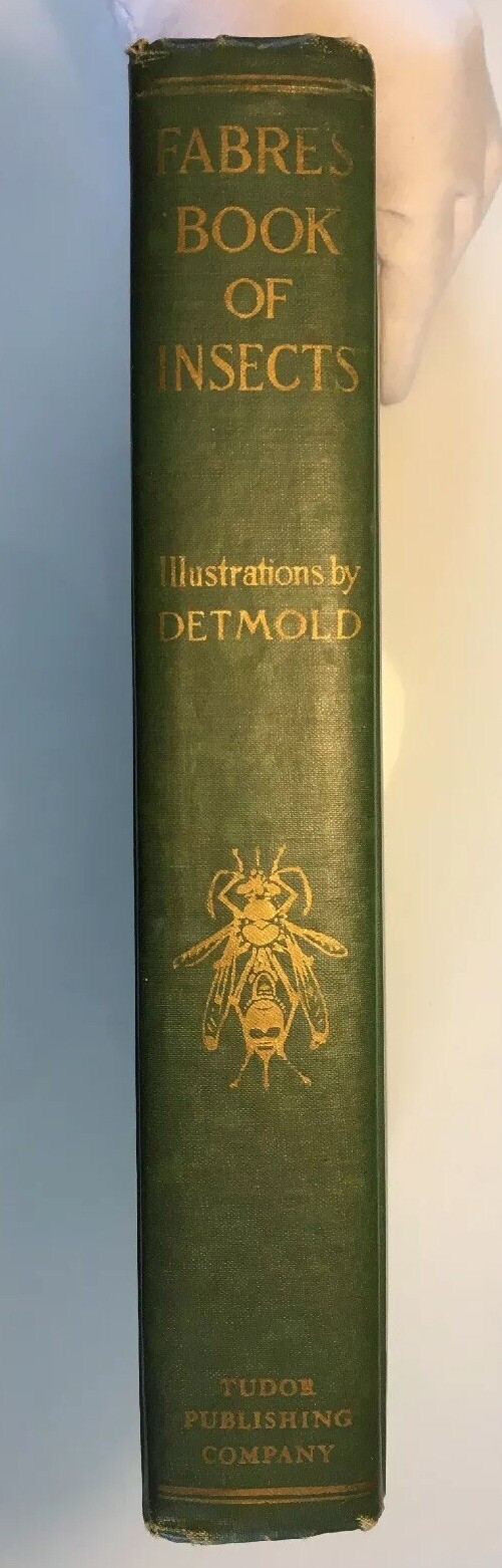 Fabre’s Book Of Insects, 1935 New Edition, E J Detmold Illustrated ...