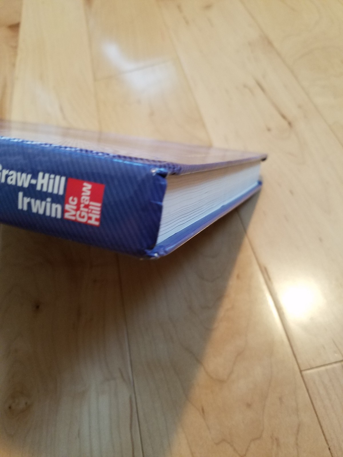 Management Information Systems for the Information Age by Stephen Haag ...