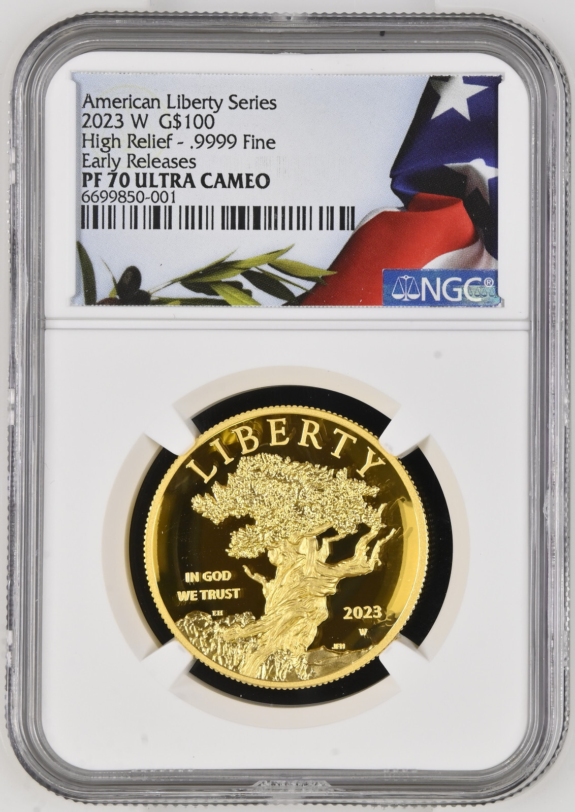 2023 1 Oz GOLD $100 American Liberty High Relief Proof Coin NGC PF70 UC ...