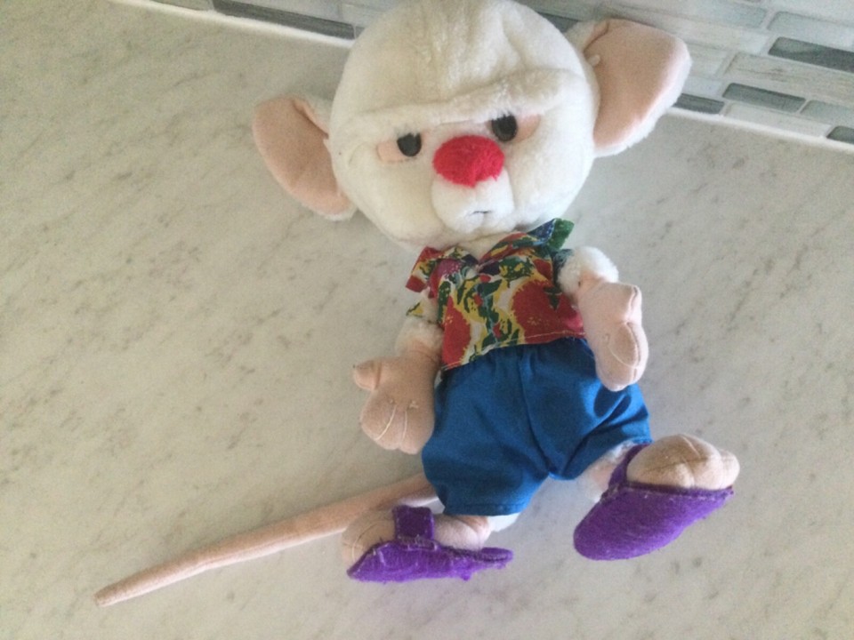 VINTAGE PINKY PLUSH FROM THE ANIMATED SERIES PINKY AND THE BRAIN | eBay