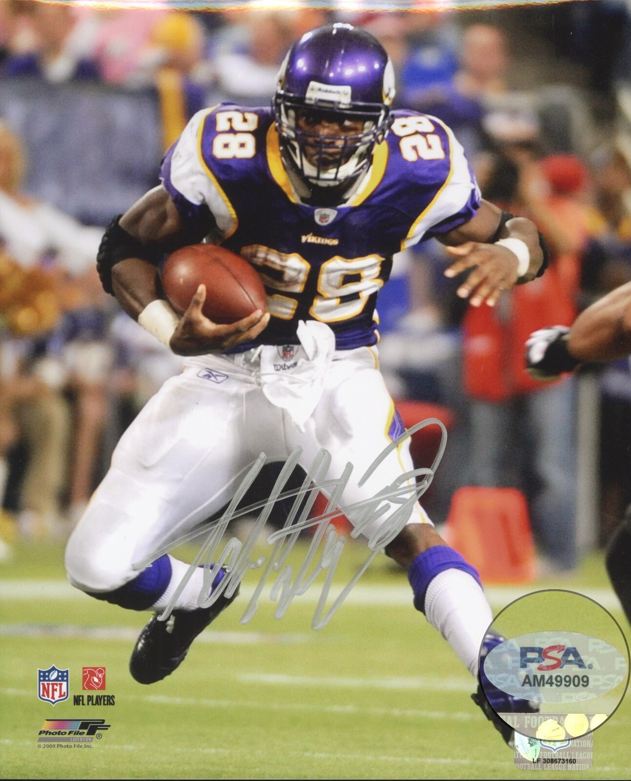 Vikings Adrian Peterson Signed Authentic Autograph 8x10 Framed Portrait ...