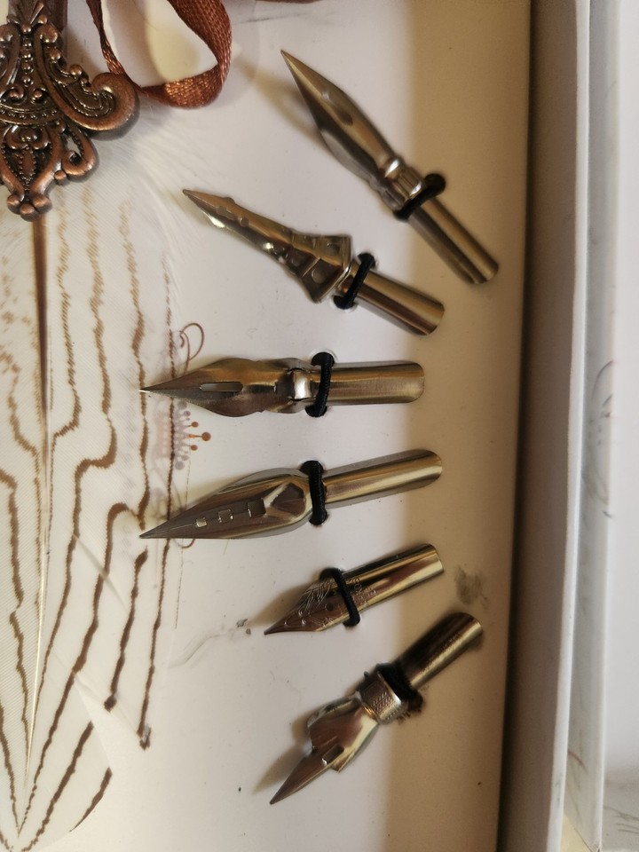 Feather quill Pen Set Calligraphy Pen Set Writing Quill & 6 Stainless ...