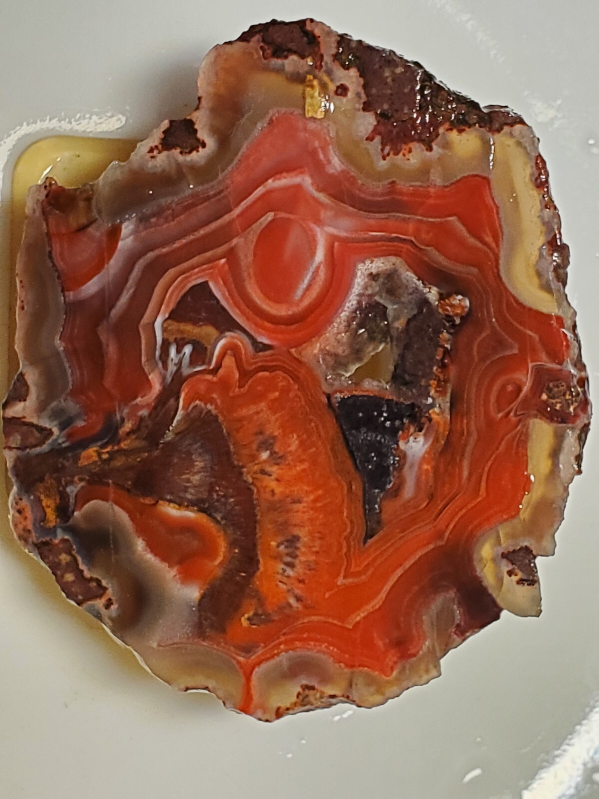 Mexican Banded Fortification Laguna Agate Slab Rough Chihuahua Mexico ...