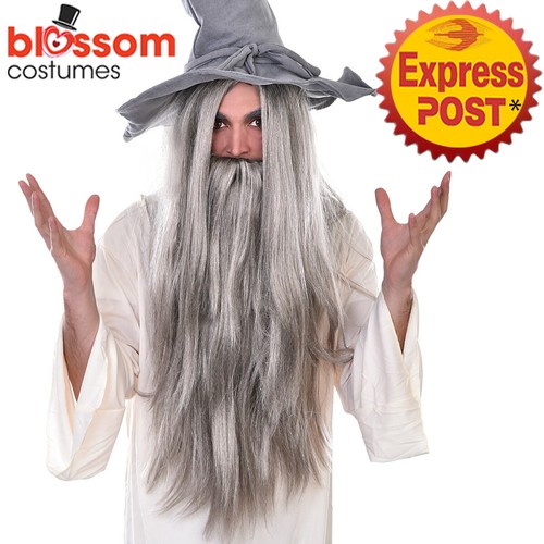W714 Wizard Sorcerer Costume Long Wig Beard Gandalf Lord of the Rings ...