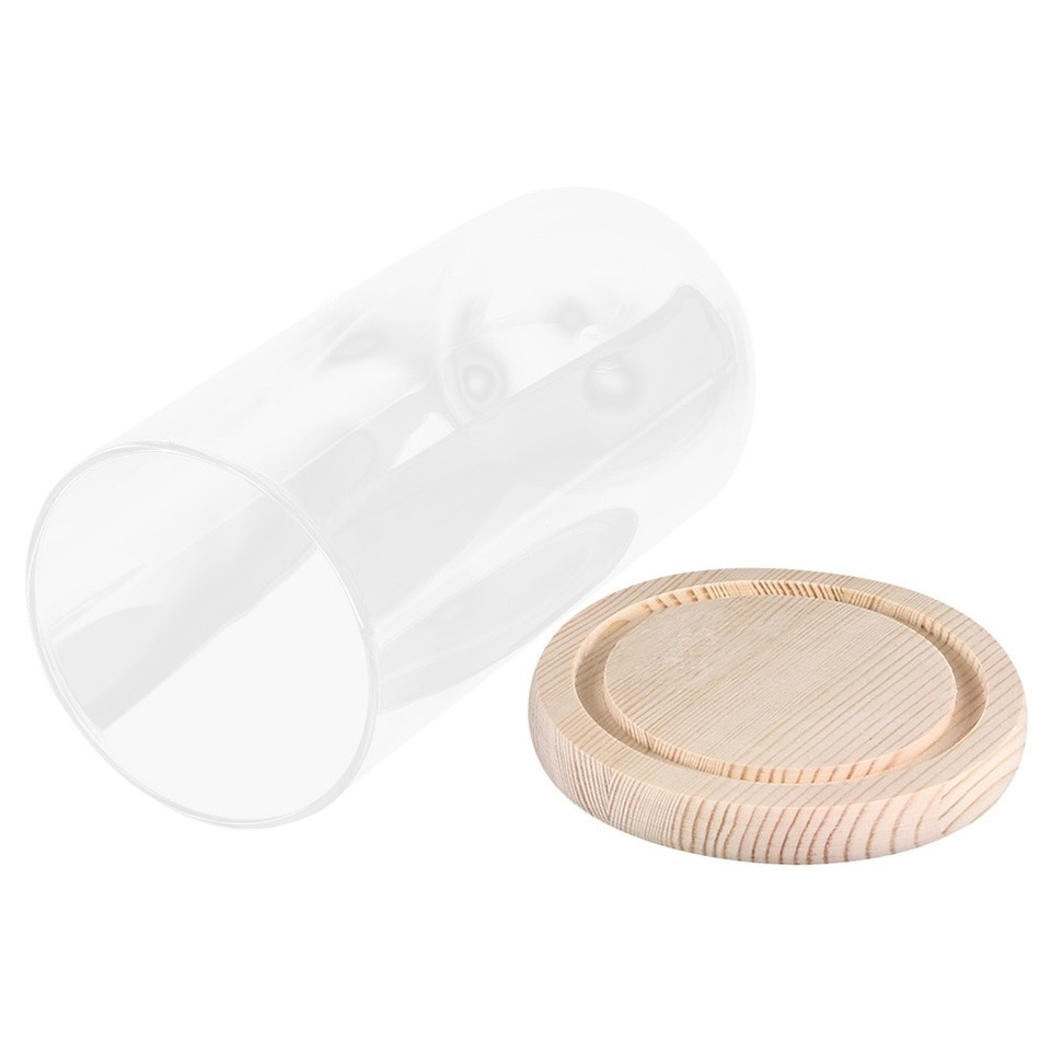 Dome Cloche for Flowers Eternal Glass Cover Plants Dried Display | eBay