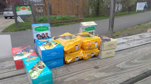 Girl Scout Cookies 2025 Quick Shipping! Final Boxes left! lemon ups | eBay