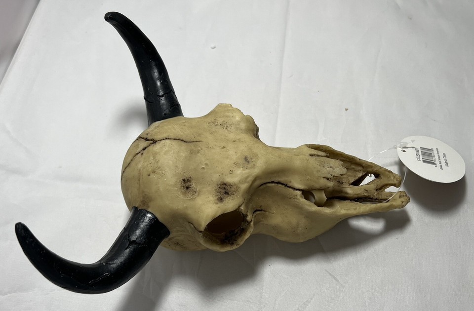 Polyresin 8" Buffalo Skull Realistic Faux Terrarium Ornament ...