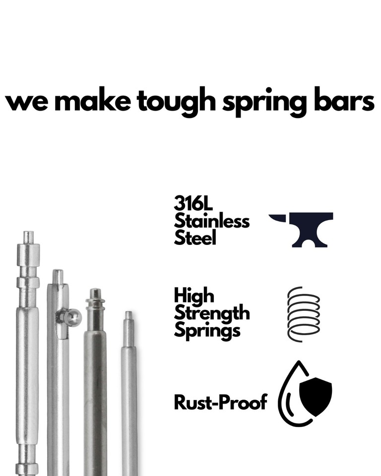 Universal Spring Bar Pins | Fit Any Watch with Lug Width 25-30mm | 1 ...