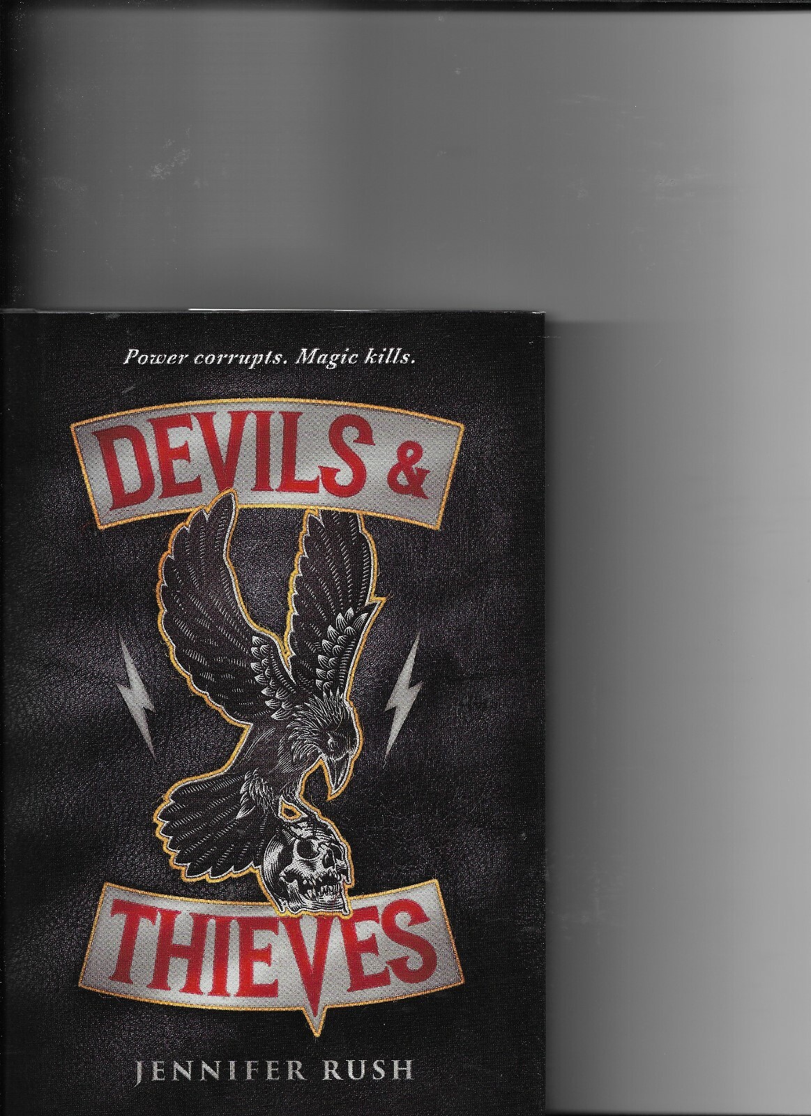 Devils & Thieves: Devils and Thieves 1 by Jennifer Rush 2017, Hardcover ...