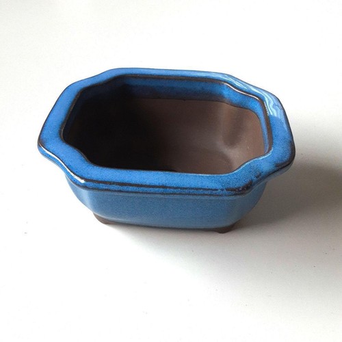 Mini Bonsai Topf Blau Achteckige Japanisch Kunst Form Miniatur Baum ...