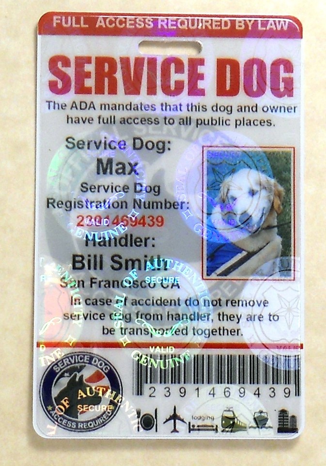 HOLOGRAPHIC SERVICE DOG ID CARD / BADGE ASSISTANCE ANIMAL ADA TAG 0 RED ...
