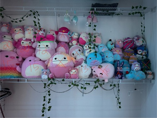 Squishmallow big lot - entire collection - includes tags | eBay