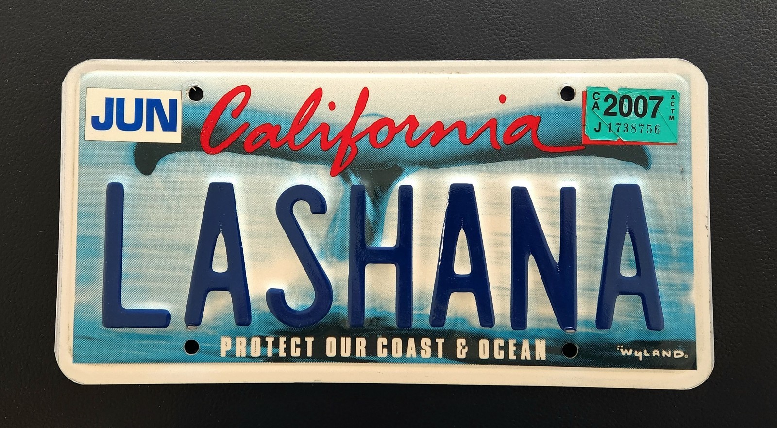2007 CA California WHALE TAIL - PROTECT OUR COAST & OCEANS Vanity ...
