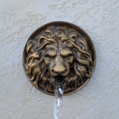 Lion head water spout Outdoor fountain Water feature for pool design | eBay