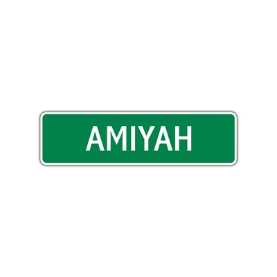 Amiyah Girls Name Letter Printed Label Art Decor Novelty Aluminum Metal ...