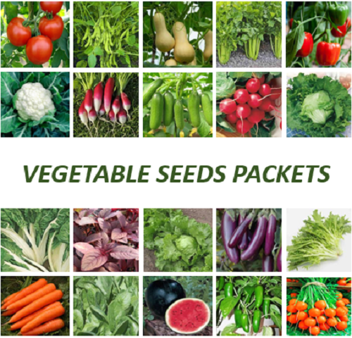 Heirloom Vegetable Seeds Vegetable Garden 20 Packets Mix Vegetable ...