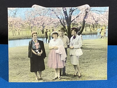 Easter Sunday Cherry Tree Blossoms Harrisburg Pennsylvania 1962 Vtg ...