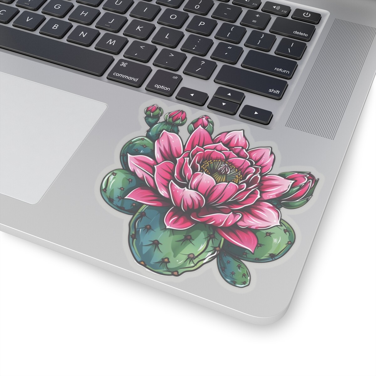 Desert Cactus Pink Flower Realistic Nature Artwork Kiss Cut Sticker ...
