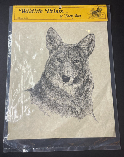 Vintage Barry Nehr Wildlife Print Ink Lines 14” X 11” In Original ...