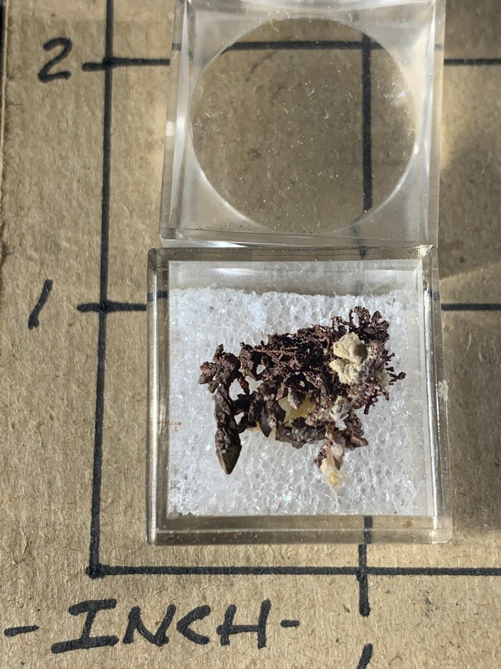 Dendritic/ Fern Native COPPER Point - WHITE PINE MINE Ontonagon UP ...