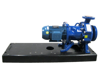 3 x 1-1/2 Flowserve Innomag TB-Mag ETFE B464011100-BB0 Centrifugal Pump ...