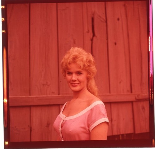 Connie Stevens 1960's photo shoot Pose Original 2.25 x 2.25 Camera ...