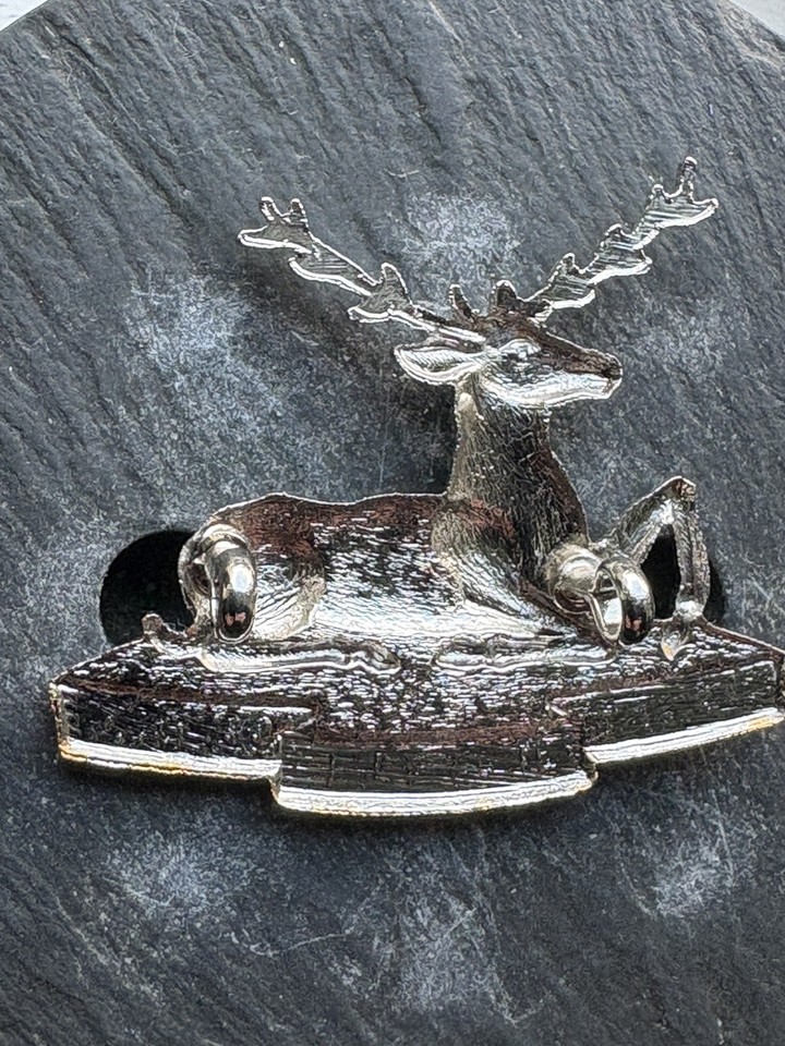 OBSOLETE HERTFORDSHIRE FIRE and AMBULANCE CONTROL CAP BADGE. | eBay UK