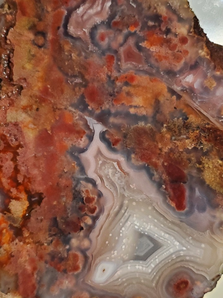 Rare Banded Fortification Plume Laguna Agate Rough Nodule Mexico 694g ...