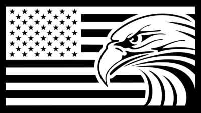 American Flag Eagle Decals Large