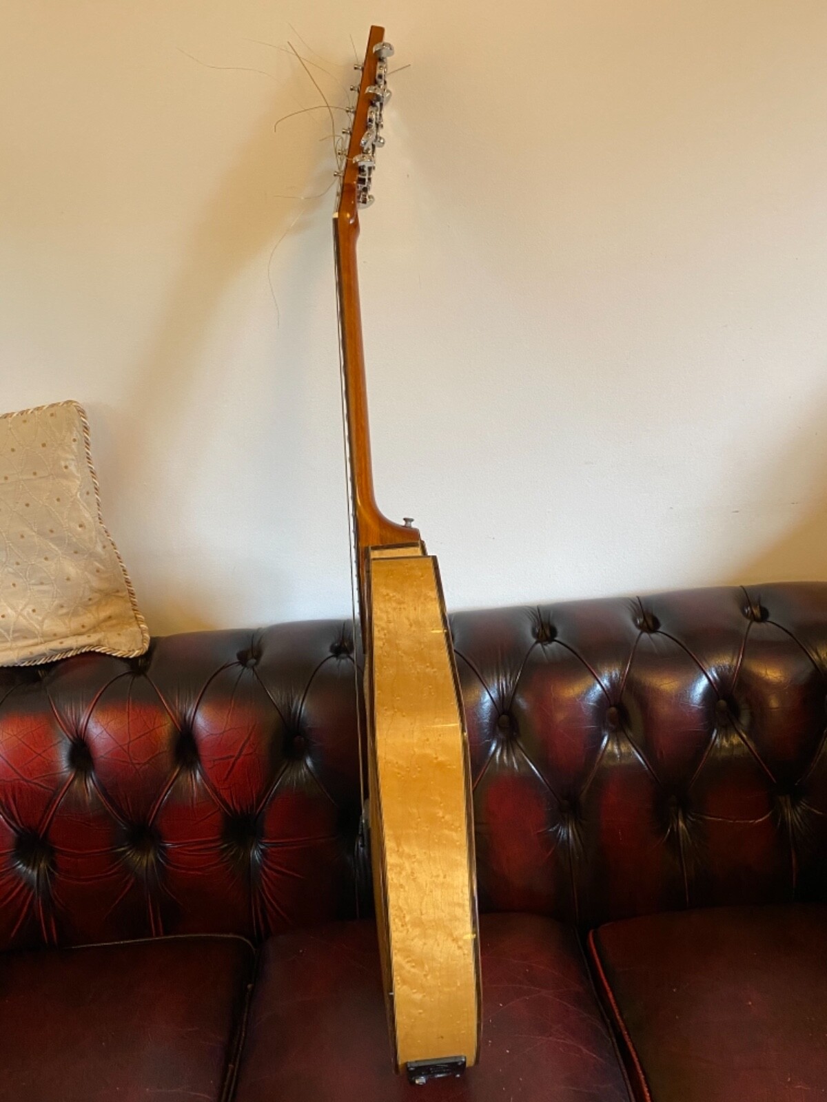 Washburn 12 String Birds Eye Maple Electro-Acoustic Very Rare EA20 40 ...