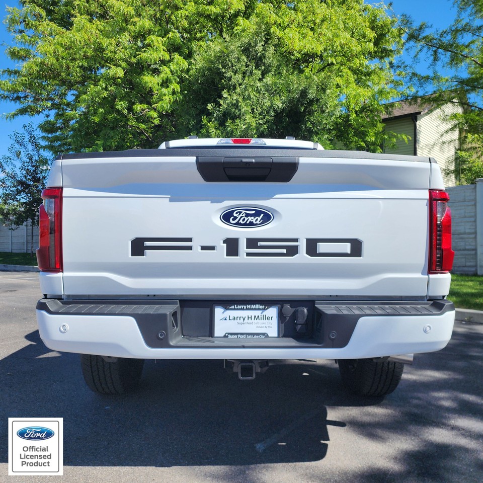 2021-2025 Ford F-150 tailgate letters F150 vinyl inserts decals ...