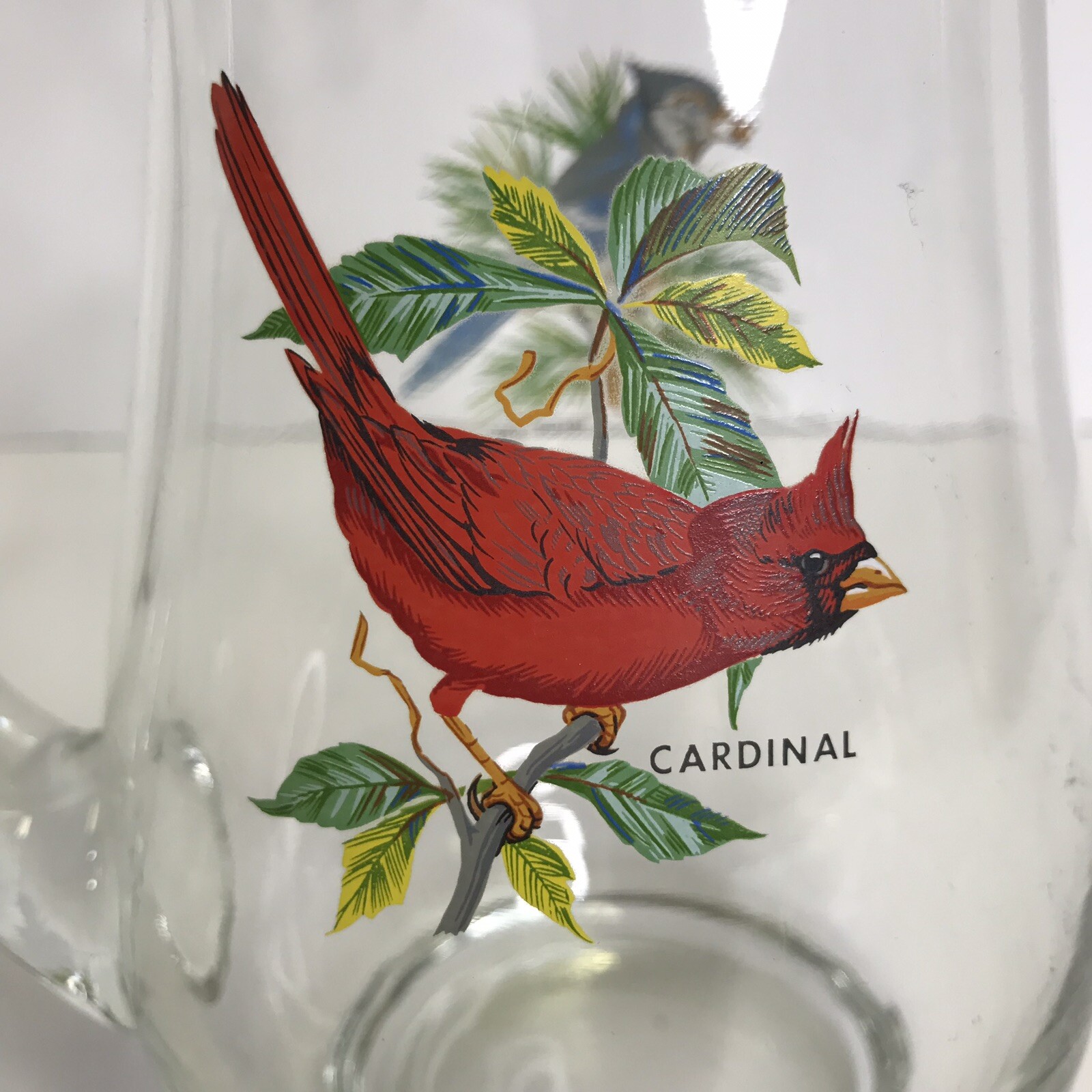 Vintage Weston West Virginia Pitcher Glass Birds Cardinal Blue Jay Gold ...