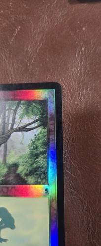 Magic The Gathering Foil Forest (350) Odyssey MTG | eBay