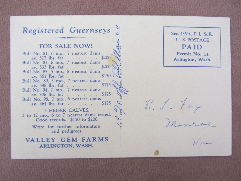 Vintage Valley Gem Farms Arlington WA Working Guernsey Bulls For Sale ...