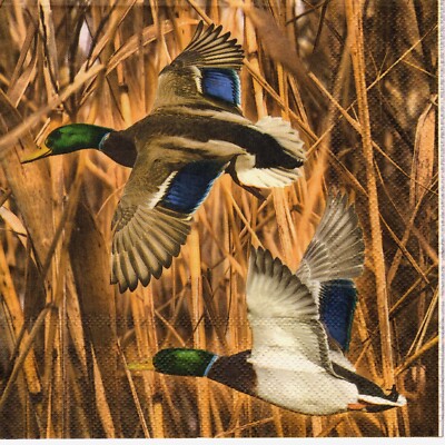 Serviettes en papier canard canards sauvagesen vol. Napkins duck wild ...