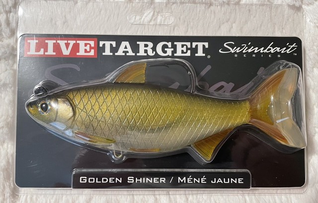 Live Target LIVETARGET GSS159MS704 Golden Shiner Series Freshwater ...