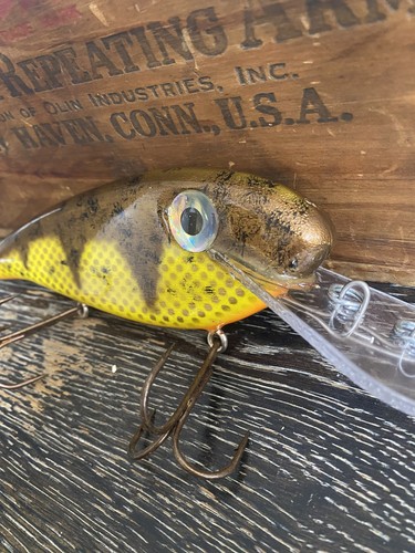 Custom 9” Musky Crank Bait Lure Muskie Pike Hand Made Wood Shad Robert ...
