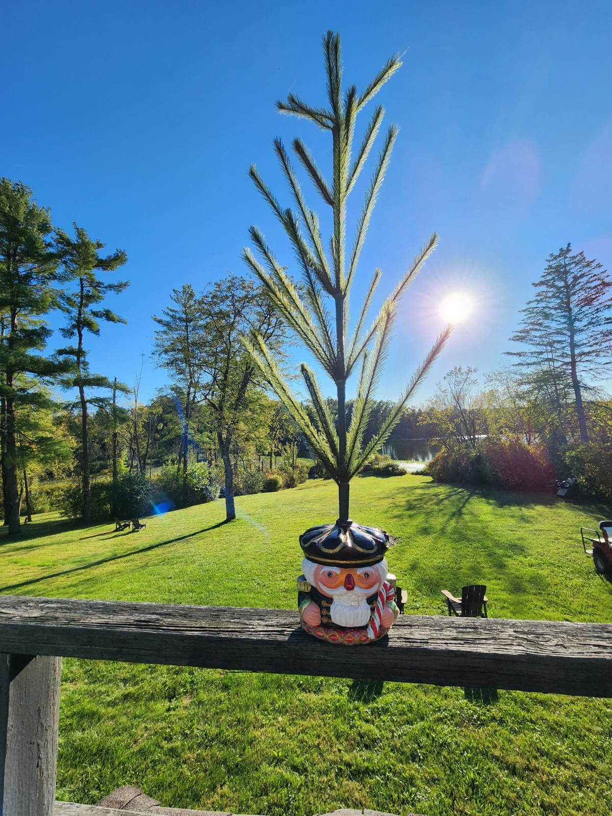 RARE Christopher Radko Nutcracker Crunch Feather Tree 3' | eBay